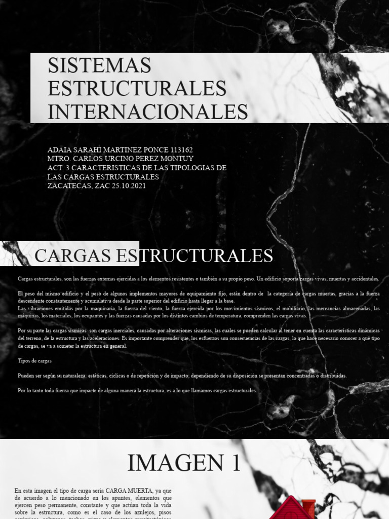 Act 3 Cargas Estructurales | PDF | Herida | Fuerza