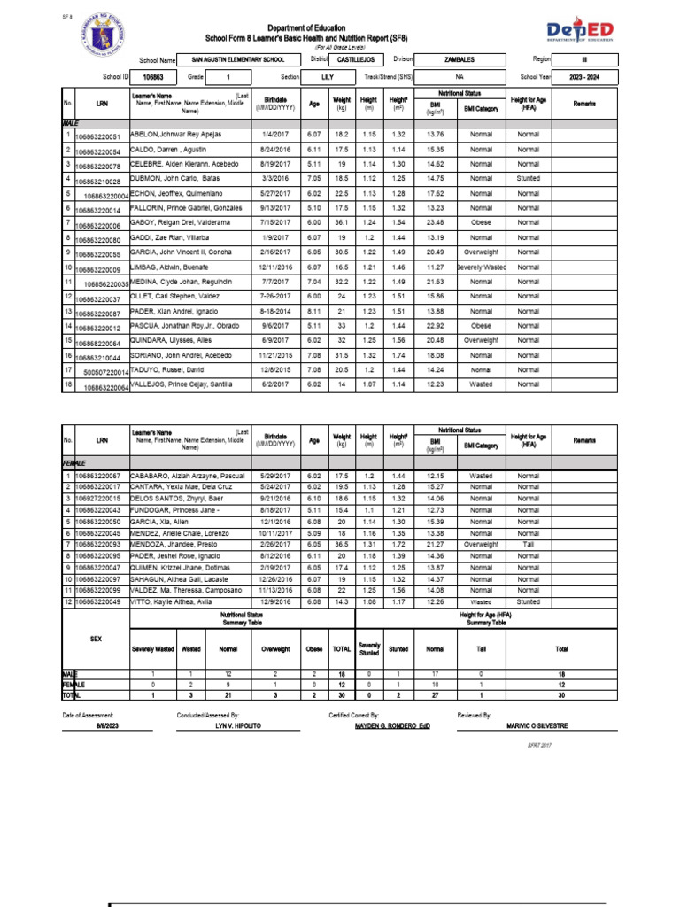 2023 - 2024 Baseline SF8 Grade I Lily Nutritional Status | PDF | Body ...