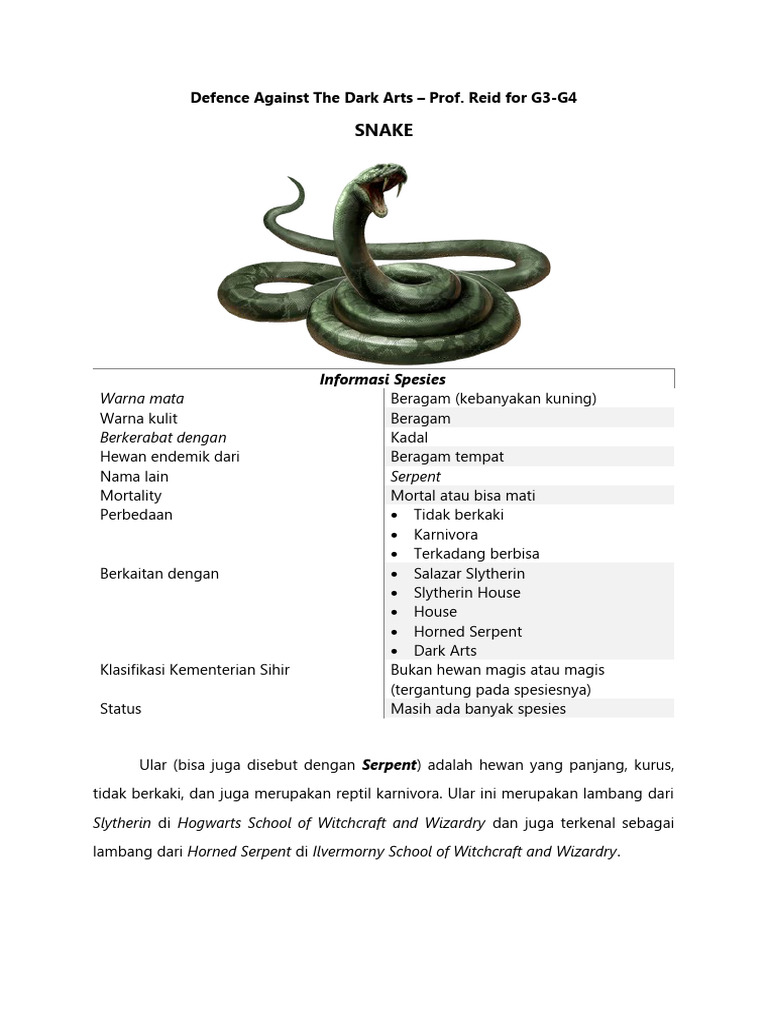 SNAKE | PDF
