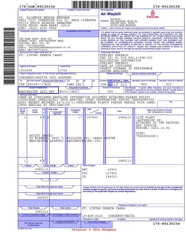 Awb Man | PDF | Transport | Freight Transport