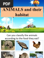 Plants and Animals in Their Habitat (GRADE 4) Lesson Plan | PDF ...