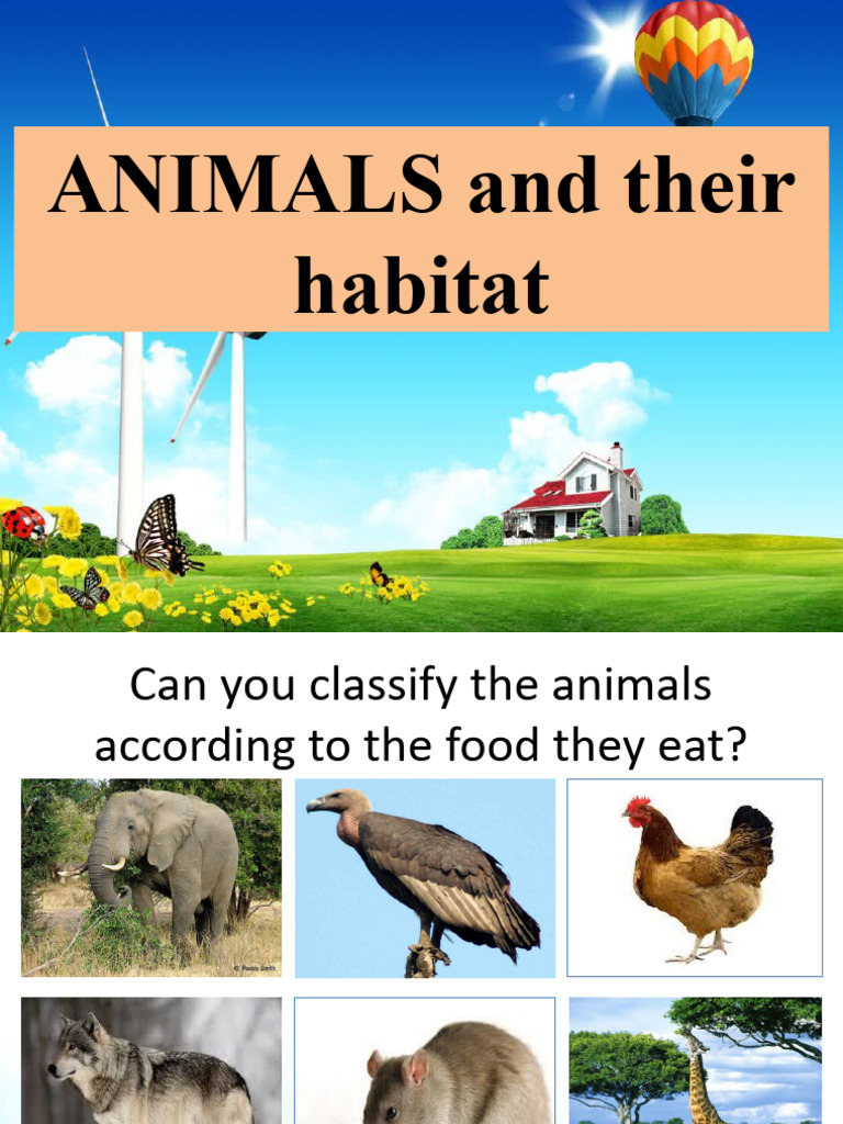1 - Animals and Their Habitat | PDF
