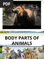 Labeled Diagram of Lizard Parts | PDF | Claw