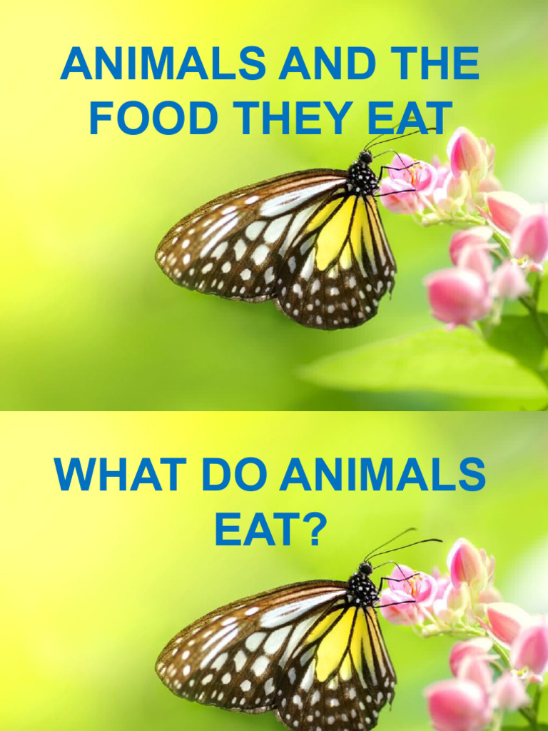 Animal Diet Classification Guide | PDF | Tooth | Habitat