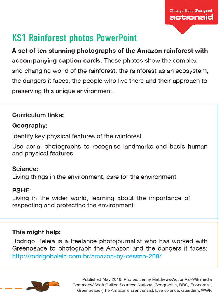 KS1 Rainforest Photos Teacher Notes | PDF | Rainforest | Amazon Rainforest