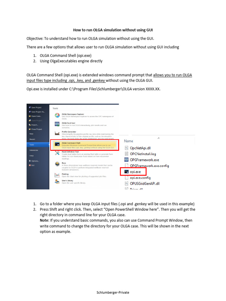 How To Run Olga Simulation Without Using Gui 7798996 02 Pdf Command Line Interface 1121