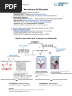 Crepitos | PDF | Pulmón | Neumología