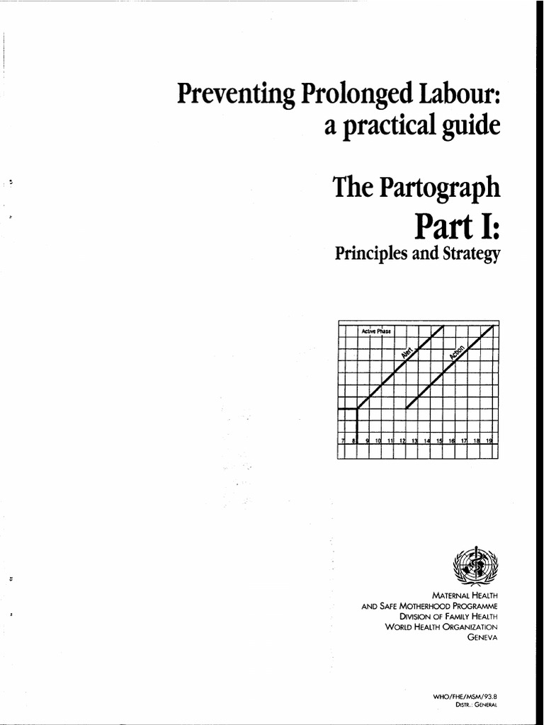 WHO Partograph Official | PDF