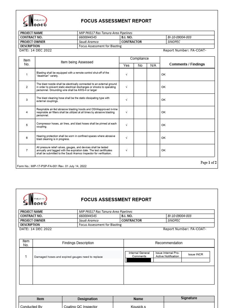 Focus Assessment FA | PDF | Gas Technologies | Mechanical Engineering