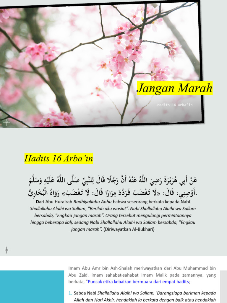 Hadits 16 Jangan Marah | PDF