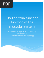 BTEC Sport Level 3 Revision Guide Muscular System | PDF