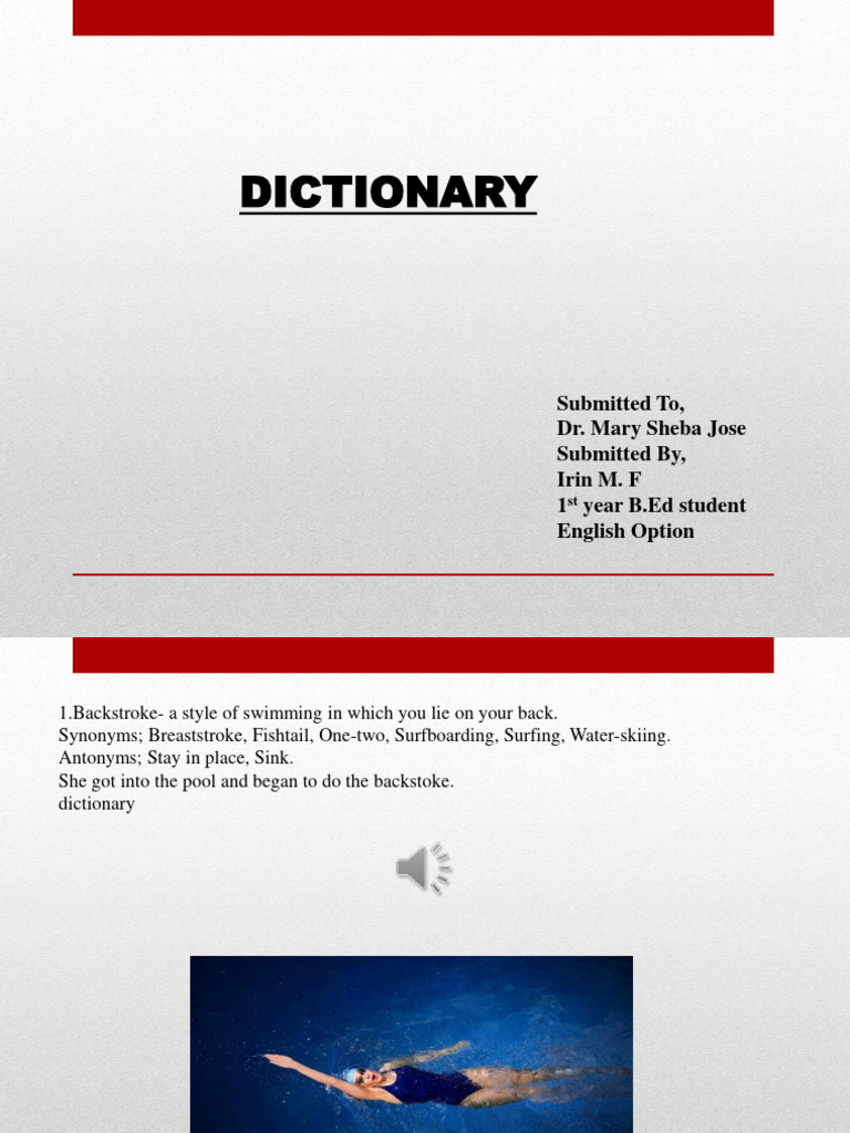 Mini Dictionary | PDF