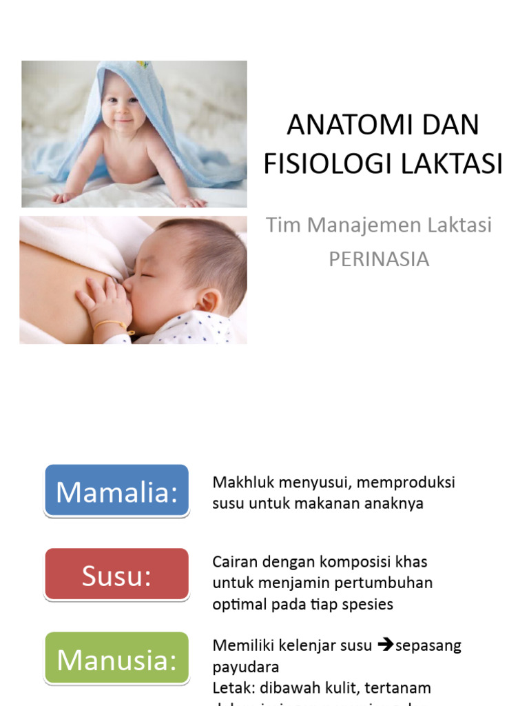anatomi fiso laktasi | PDF