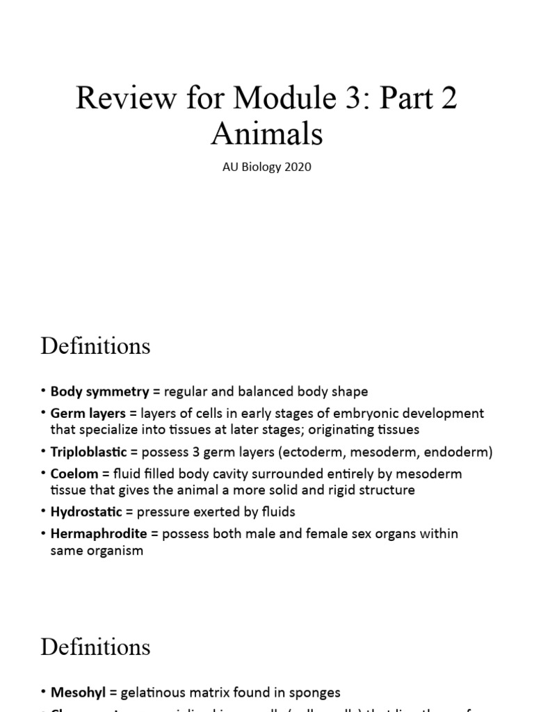 Animal Biology Module 3 Review | PDF | Insects | Invertebrate