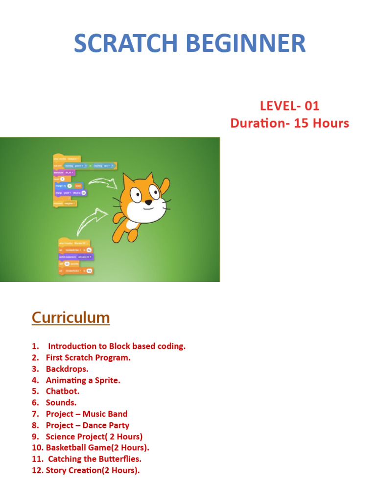 Scratch - Begginer Level | PDF