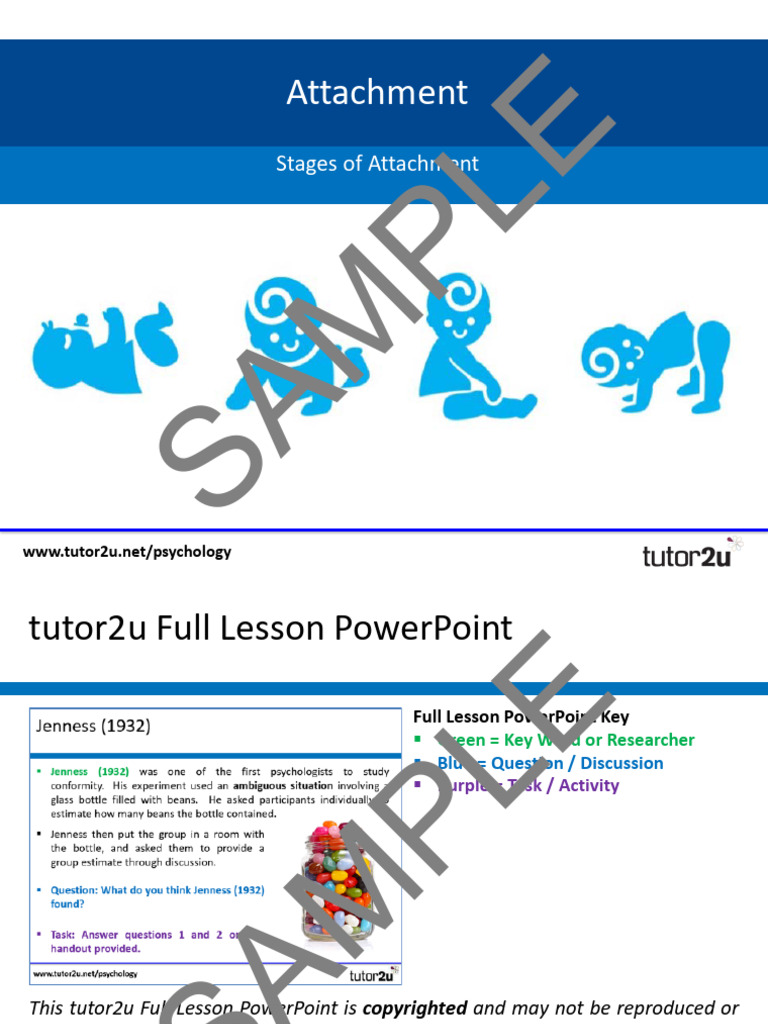 Stages Of Attachment Sample Pdf Attachment Theory Psychological Concepts