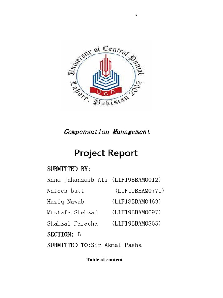 Compensation Project | PDF | Employment | Salary