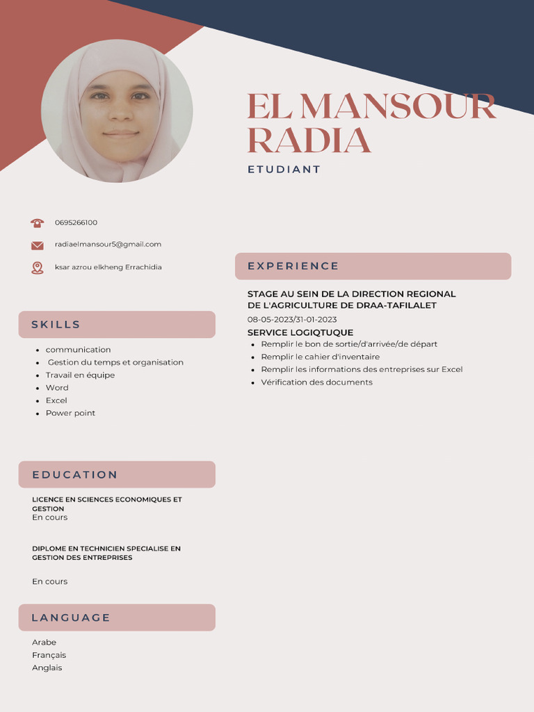 El Mansour CV | PDF