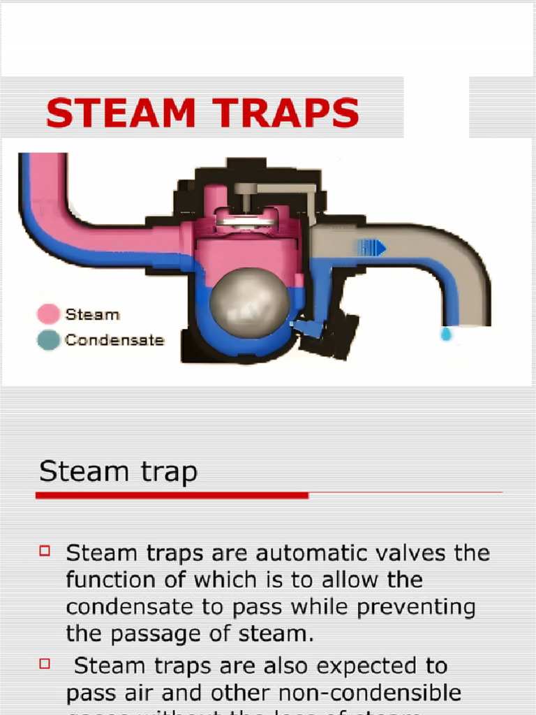 Steam Trap | PDF