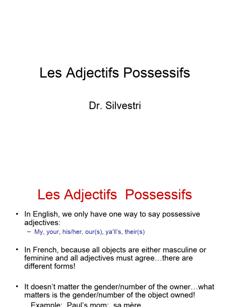 Les Adjectifs Possessifs Les Adjectifs Possessifs Les