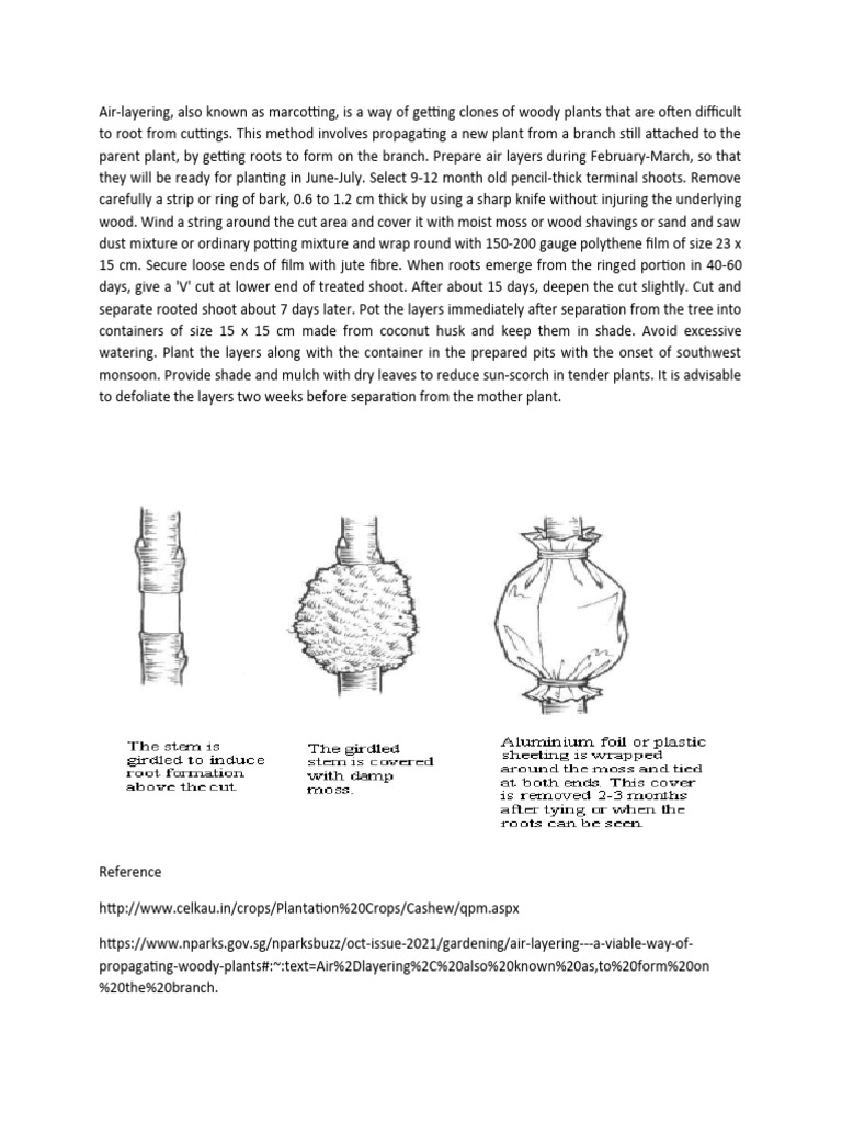 Air-Layering, A | PDF | Seed | Agriculture