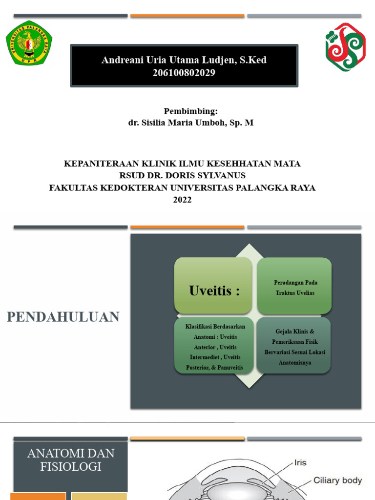 Panduan Lengkap Uveitis: Anatomi, Gejala, dan Klasifikasi | PDF