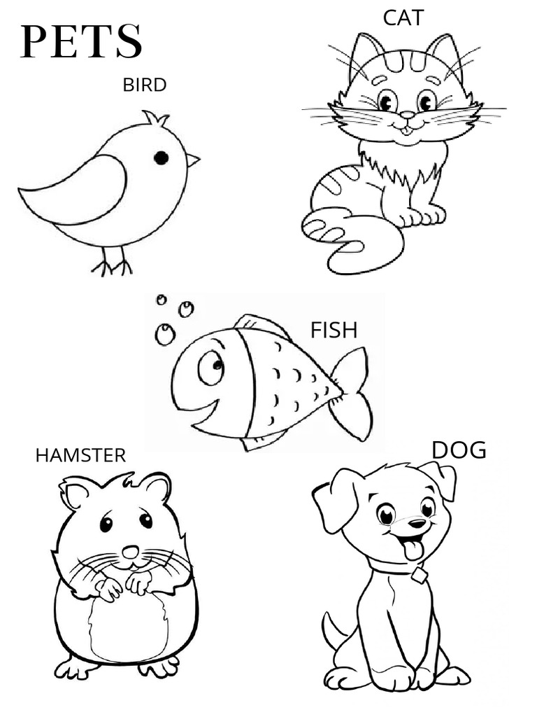 Common Pets Overview | PDF | Cooking, Food & Wine