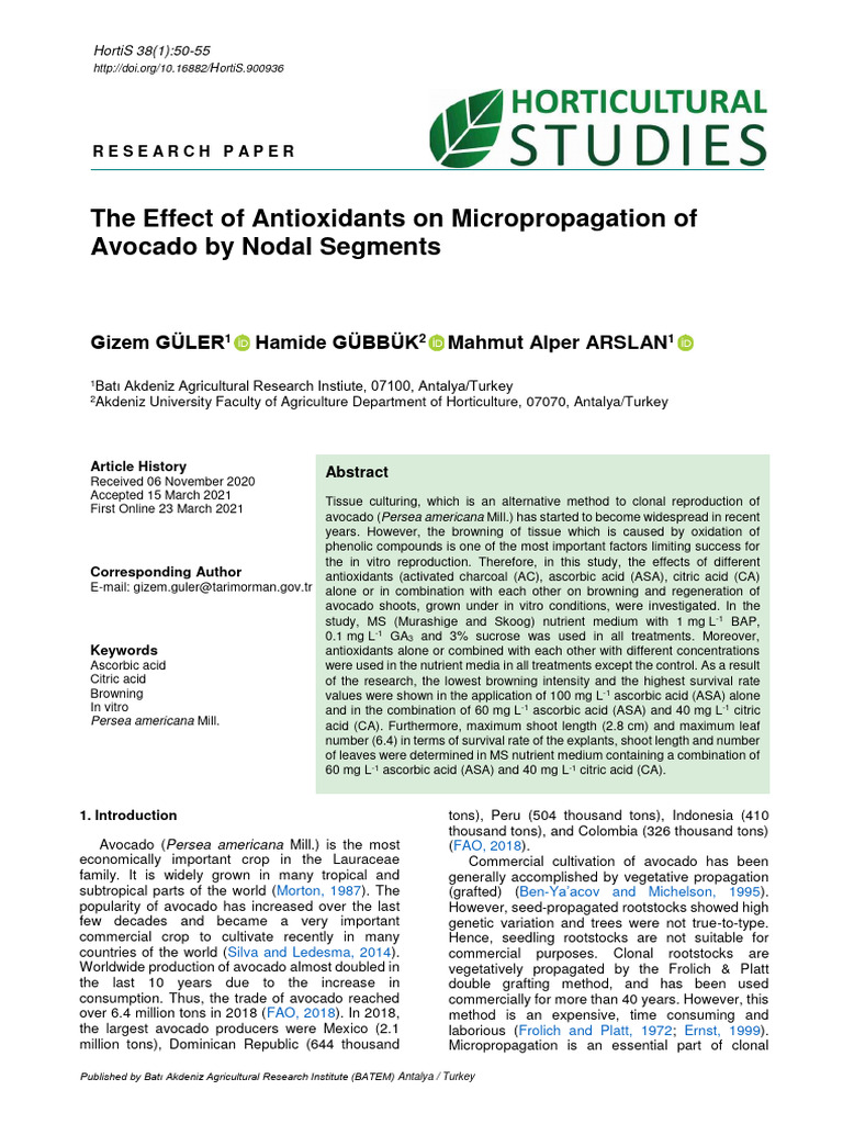 Avocado Micropropagation: Antioxidants' Impact | PDF | Avocado