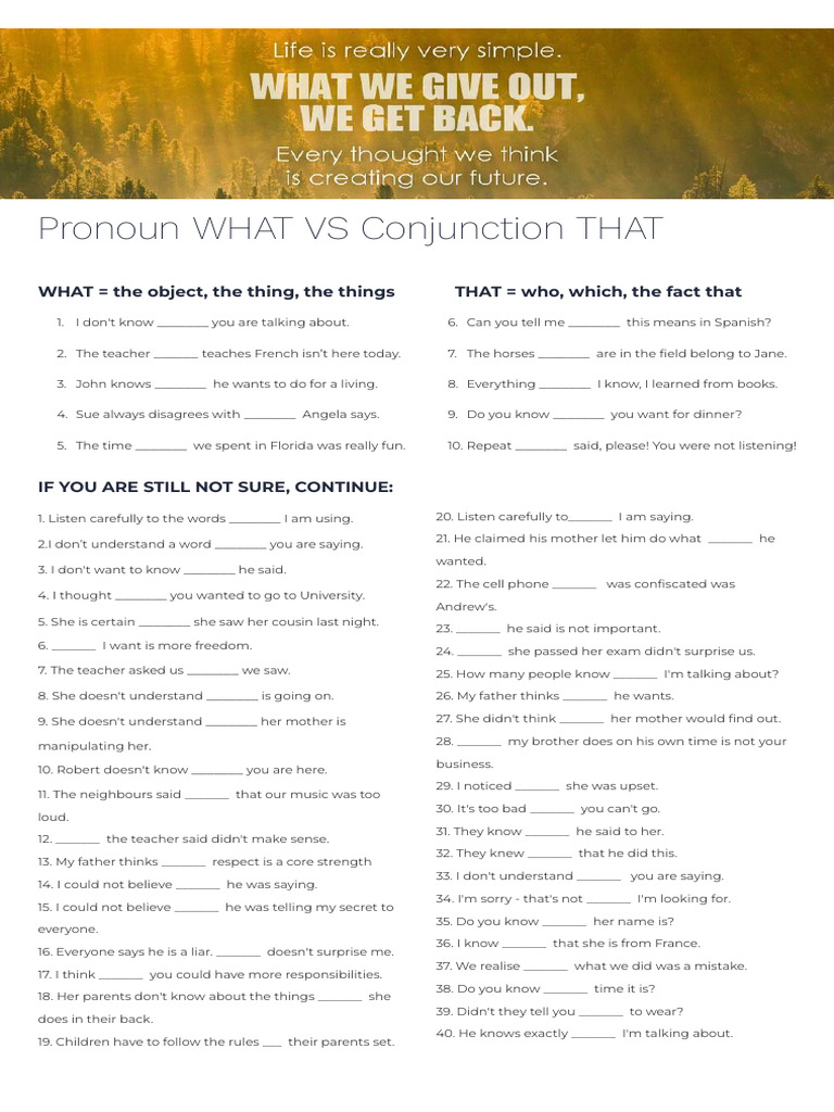 Grammar THAT VS WHAT | PDF