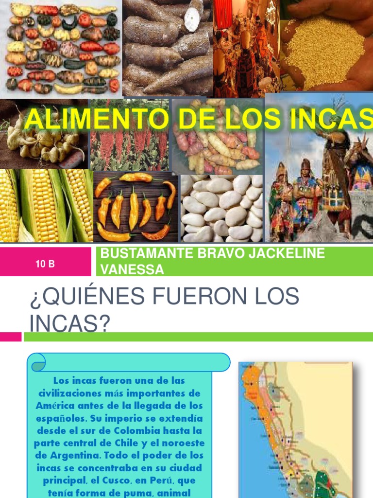 Alimento Incaico | PDF | Imperio Inca | Maíz