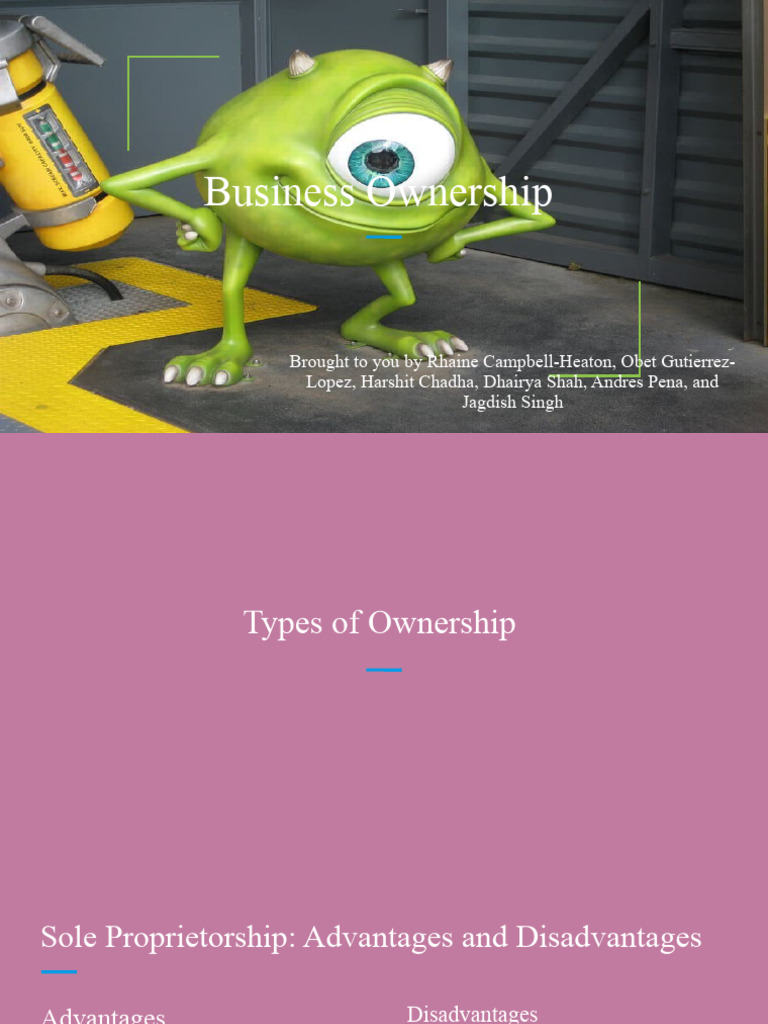 Types of Ownership | PDF | Entrepreneurship | Ownership