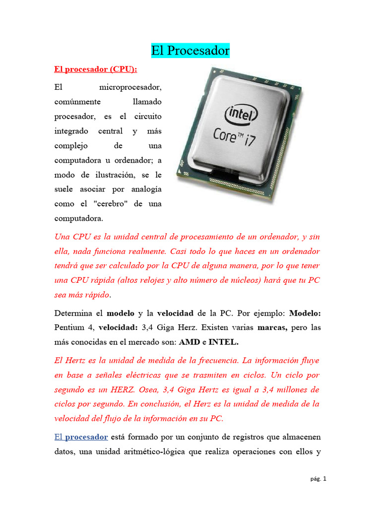 Ho03 El Microprocesador | PDF | Unidad Central de procesamiento | Microprocesador