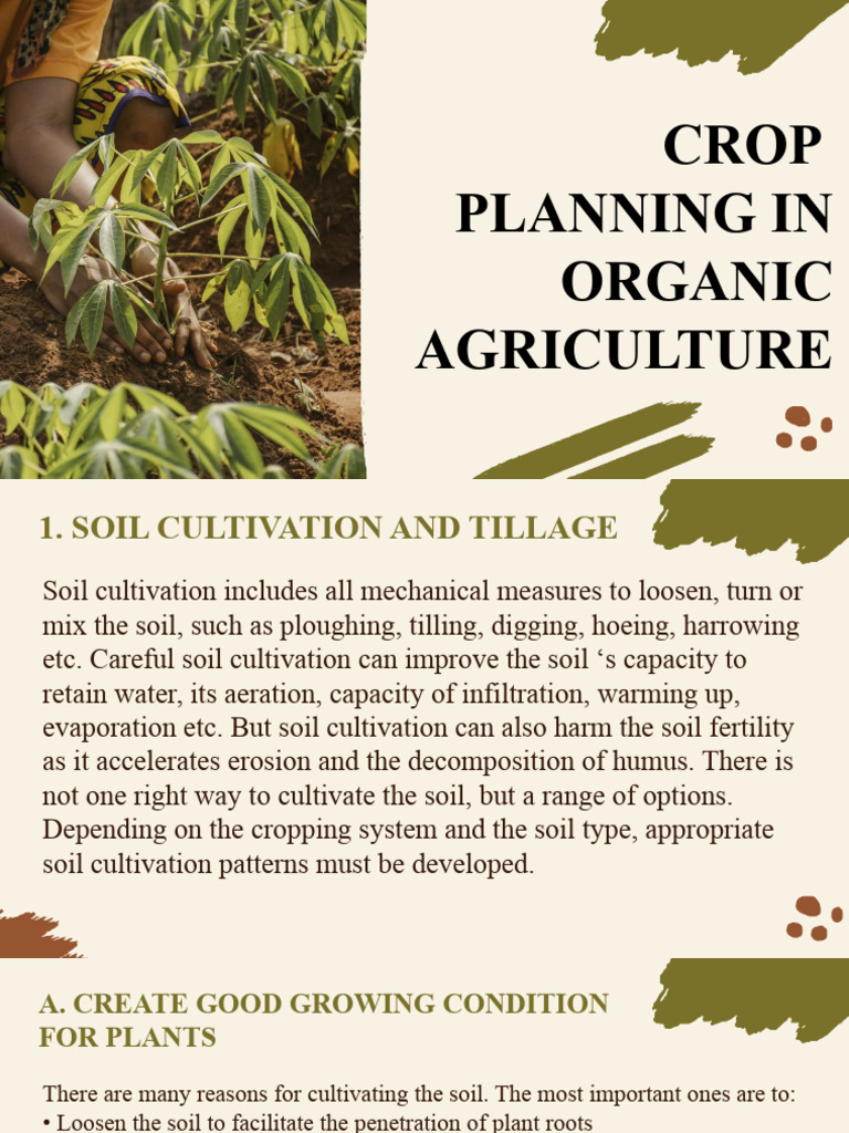 Organic Agriculture Crop Planning Guide | PDF | Tillage | Crop Rotation