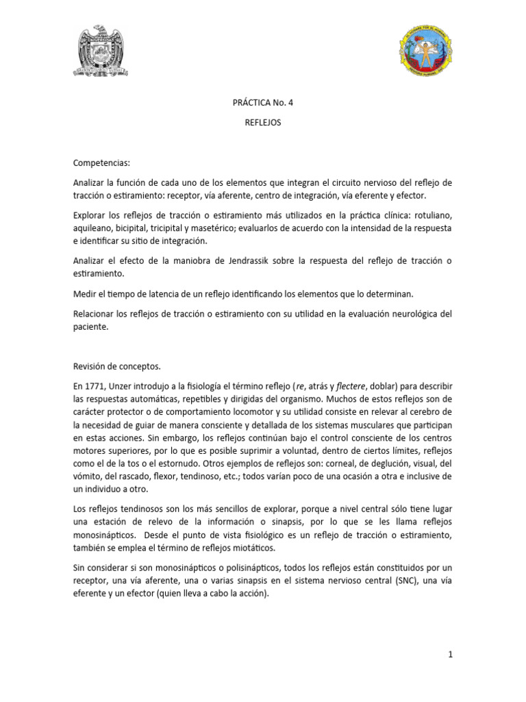 Práctica 4. Reflejos | PDF | Músculo esquelético | Neurona
