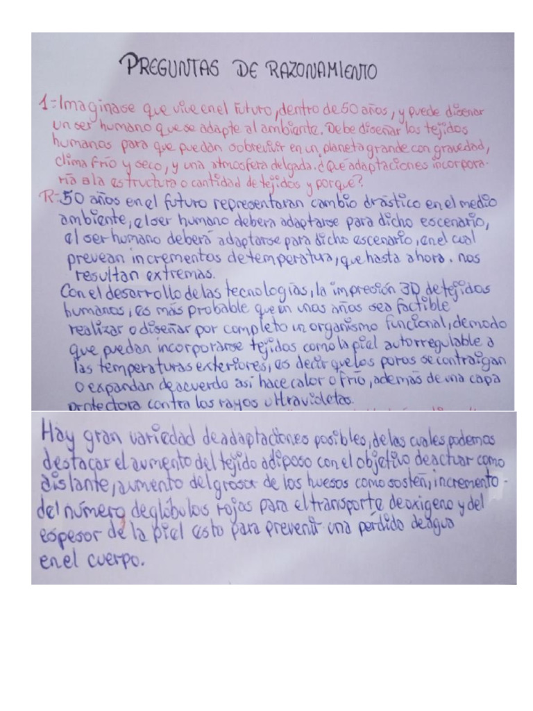 Nivel Tisular de Organizacion | PDF