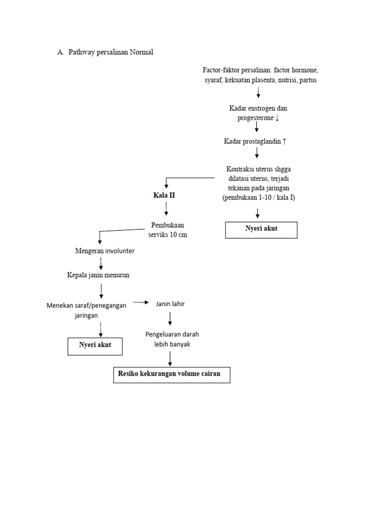 Pathway Persalinan Normal | PDF
