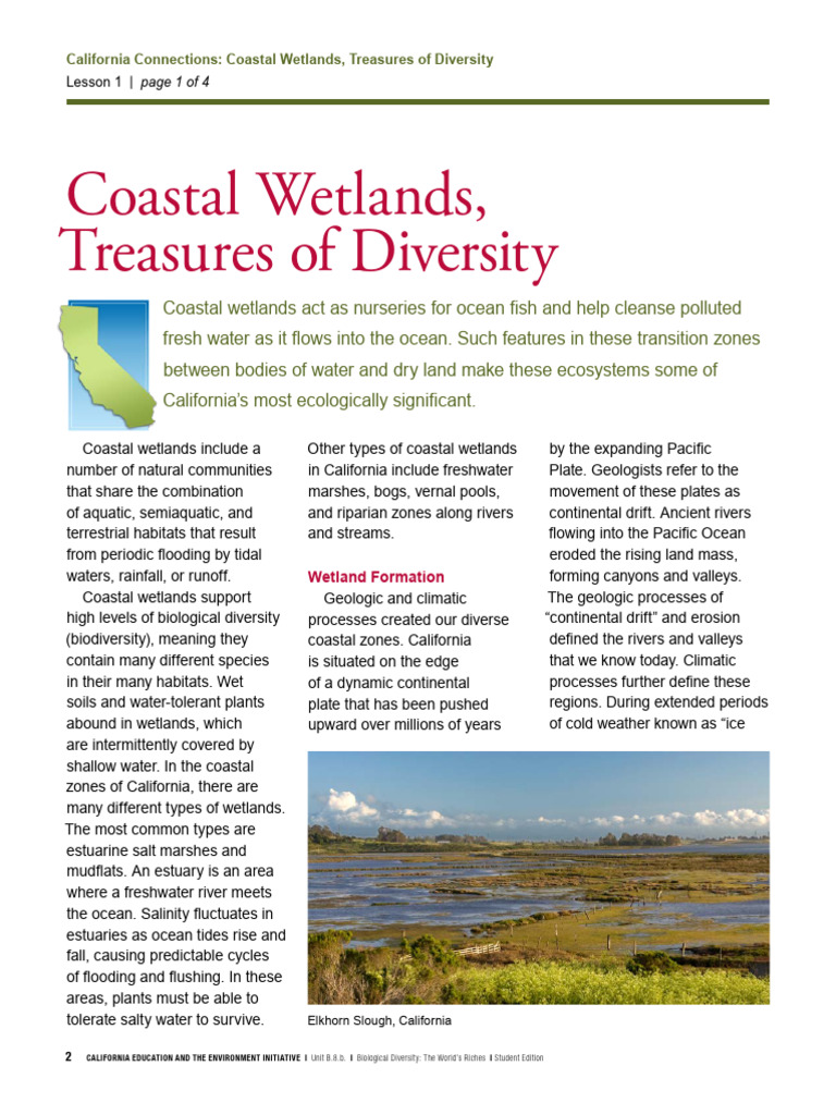 Coastal Wetlands Reading | PDF | Wetland | Marsh