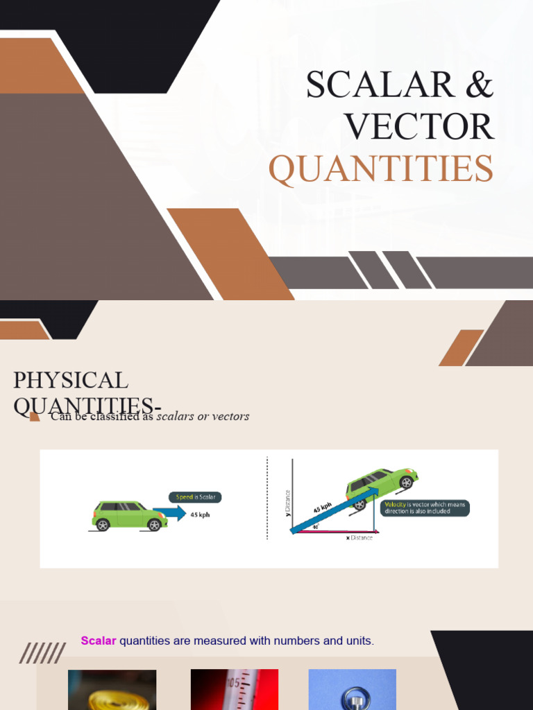 Scalar And Vector Pdf Euclidean Vector Velocity