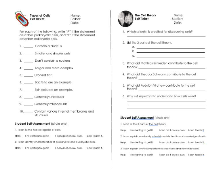 Worksheet 1 - Intro To Cells | PDF Worksheet 1 - Intro To Cells | PDF