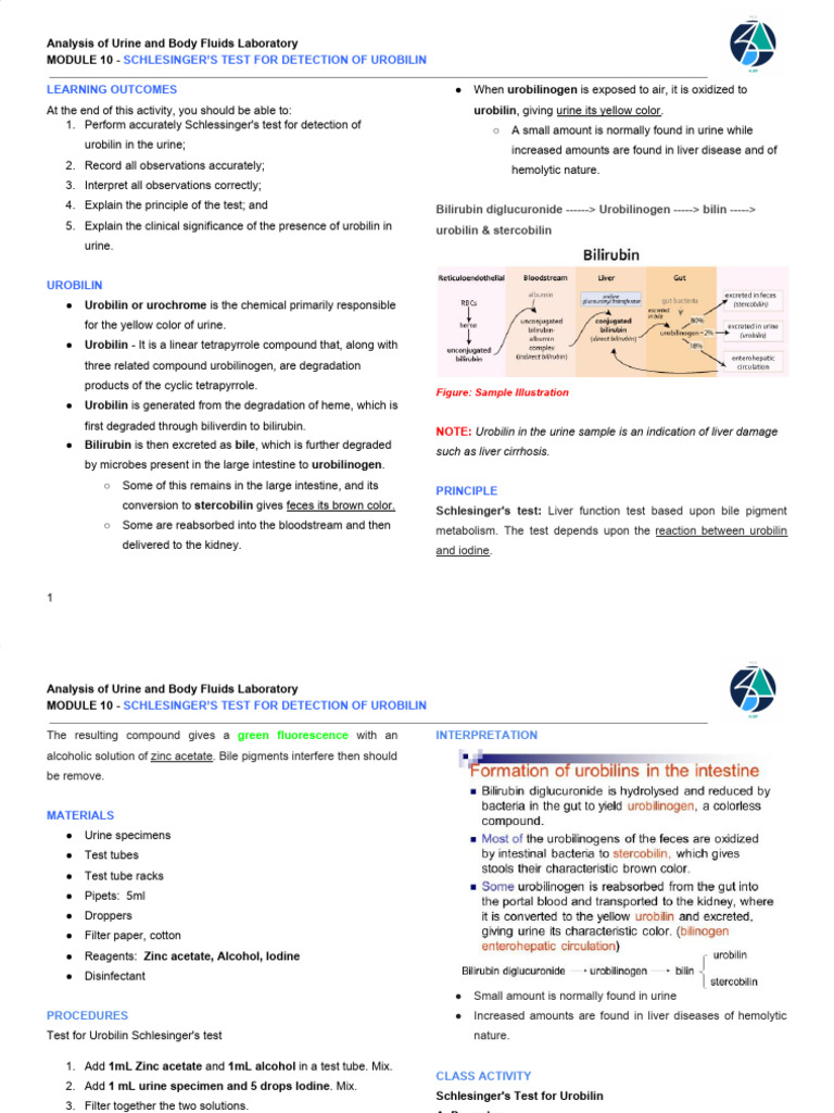 Aubf Module 10 Urobilin | PDF | Medical Specialties | Clinical Medicine