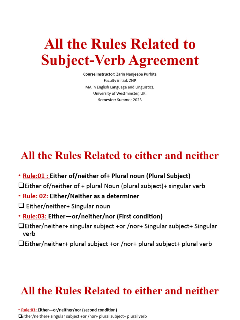 Eng102 Lecture-6 ZNP | PDF | Grammatical Number | Plural