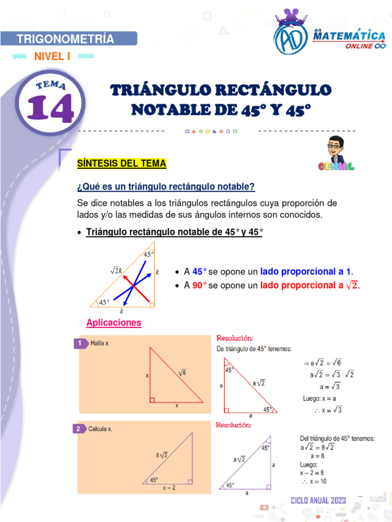 Nivel I - Triángulo Rectángulo Notable de 45° y 45° | PDF | Triángulo ...