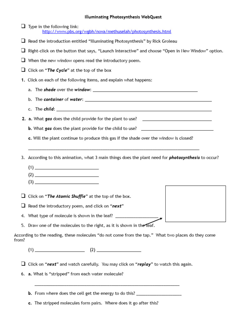 MARCO CARREON - Photosynthesis - Webquest | PDF | Cellular Respiration ...