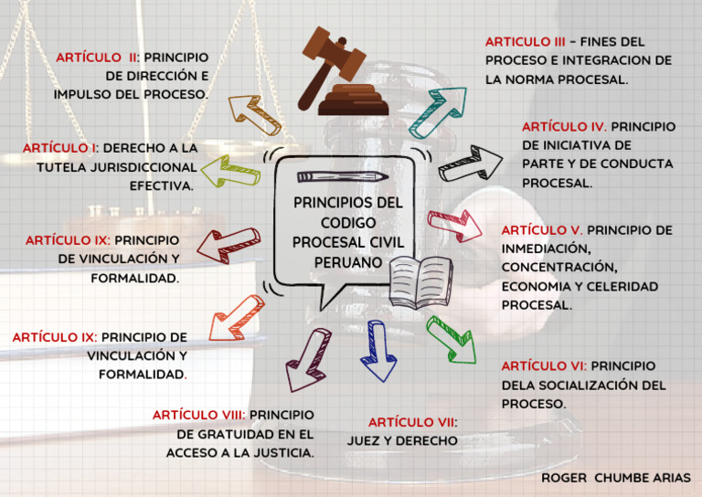 Principios Procesales | PDF