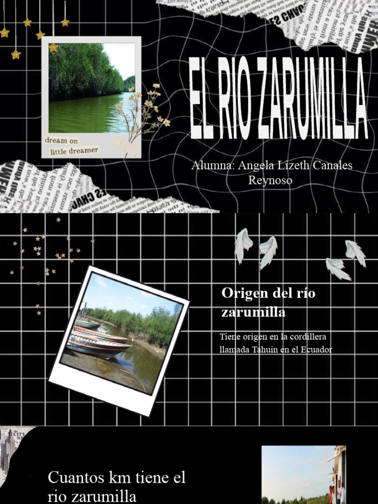 Rio Zarumilla | PDF