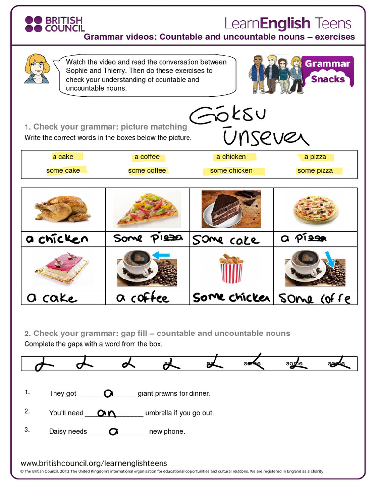 Gs Countable and Uncountable Nouns - Exercises 2 | PDF