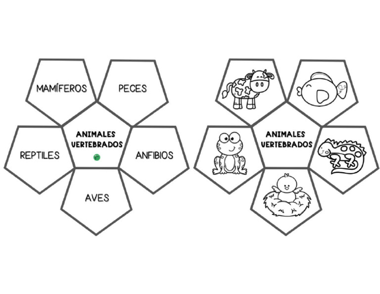Juego Vertebrados. | PDF