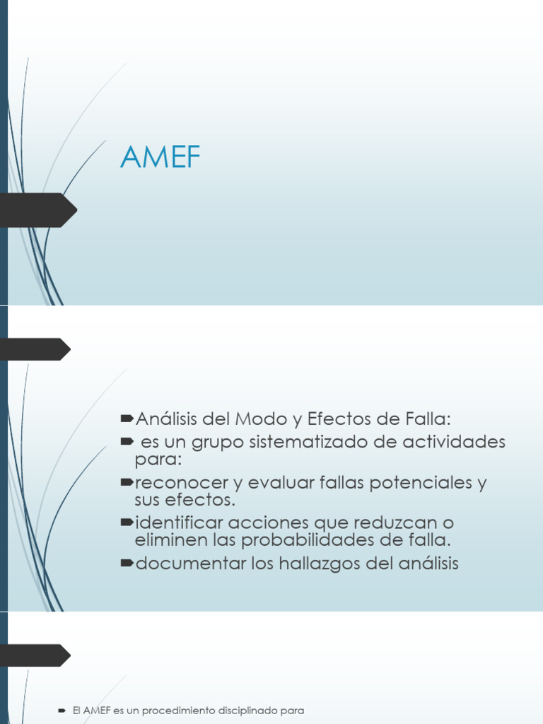 AMEF | PDF | Negocios | Informática
