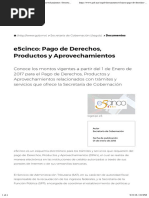 Instructivo para Pagos E5cinco | PDF | Internet | Informática