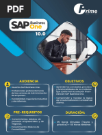 Comandos Rápidos para SAP Business One | PDF | Informática | Software